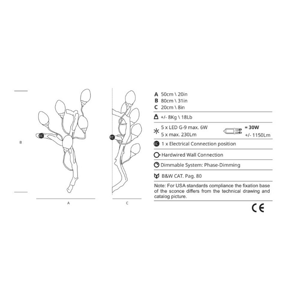 Lotus Collection by Serip