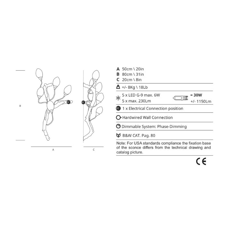 Lotus Collection by Serip